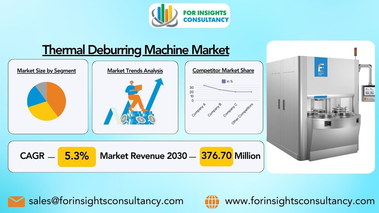 Thermal Deburring Machine Market Growth, Size & Share 2024-30